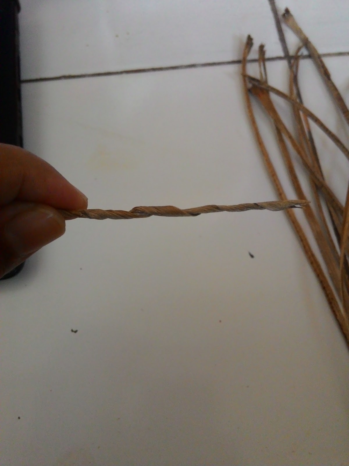 Craft by Anna: Membuat tali dari pelepah pohon pisang