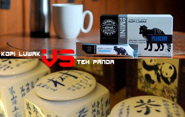 Kopi Luwak vs Teh Kotoran Panda, Mahal Mana? | Kopi Luwak Asli 99