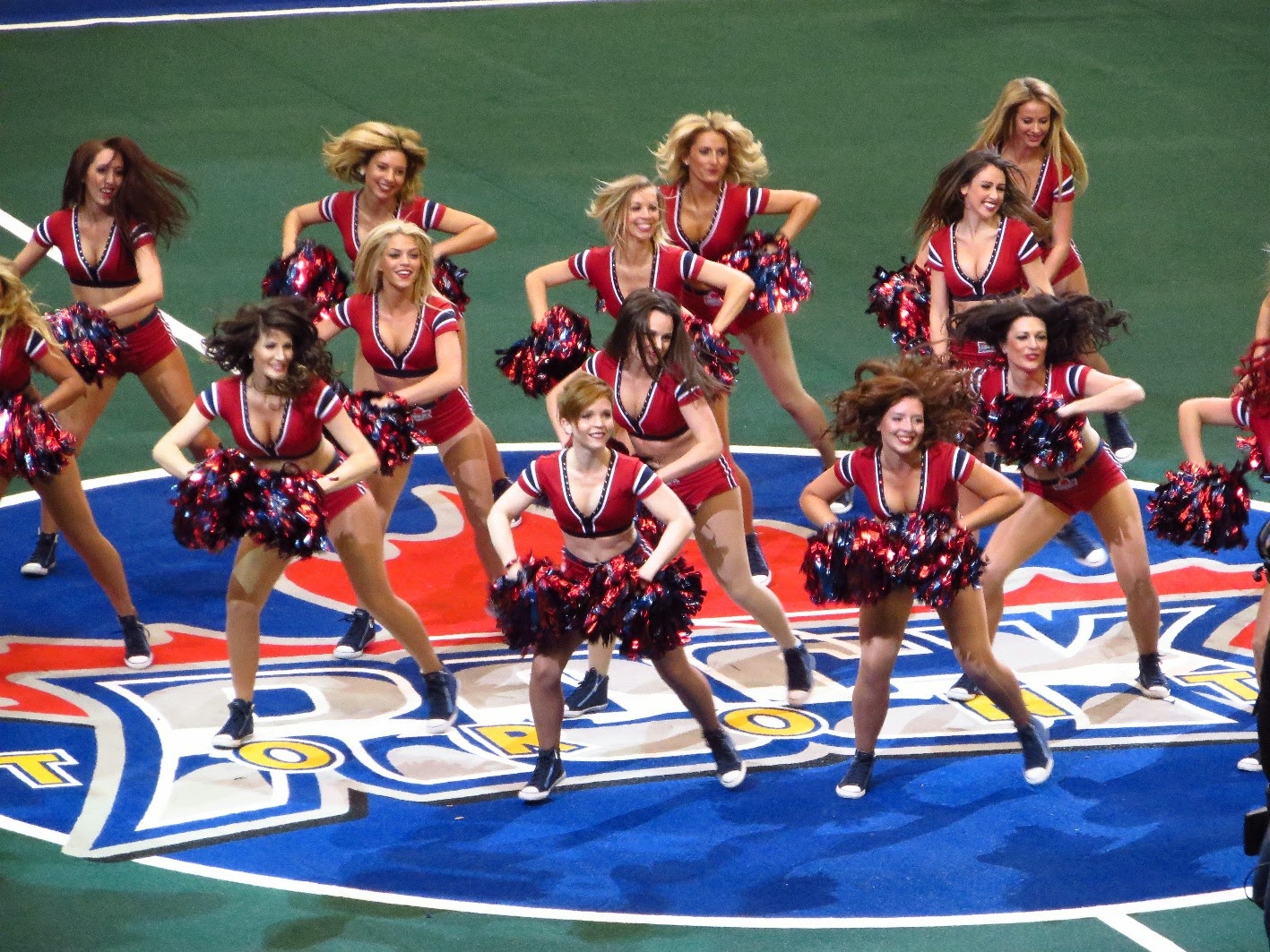 The World of Gord: Toronto Rock Rolled by Knighthawks