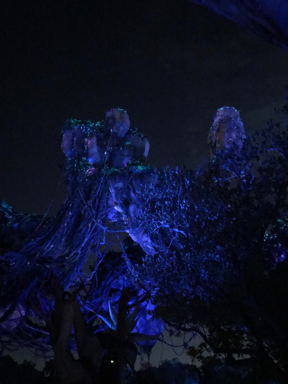 It All Started With a Mouse: Evening Extra Magic Hours Extended at ...