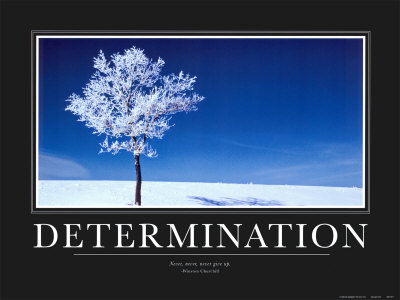 Determination Posters and Prints at Art! | Funny Picture