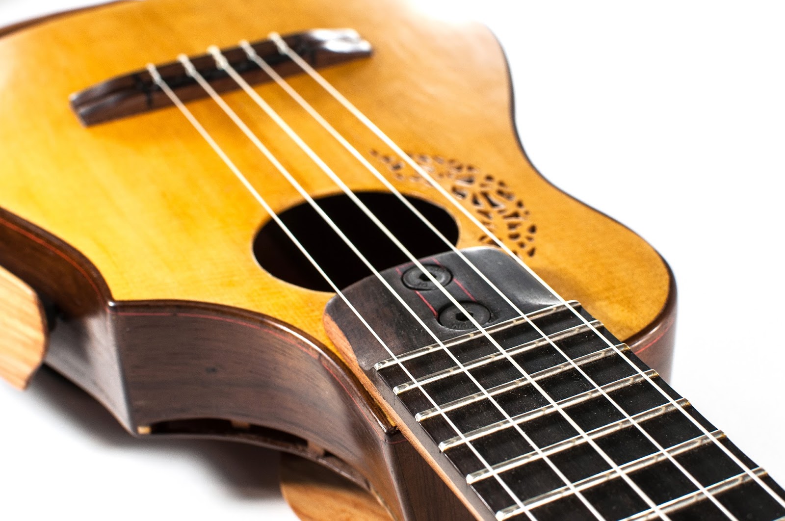 David Sánchez-Luthier: Timples