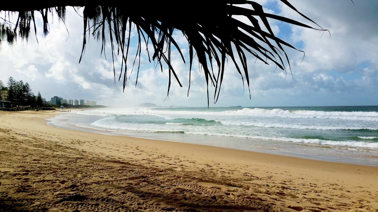 Suburb Guide: Alexandra Headland