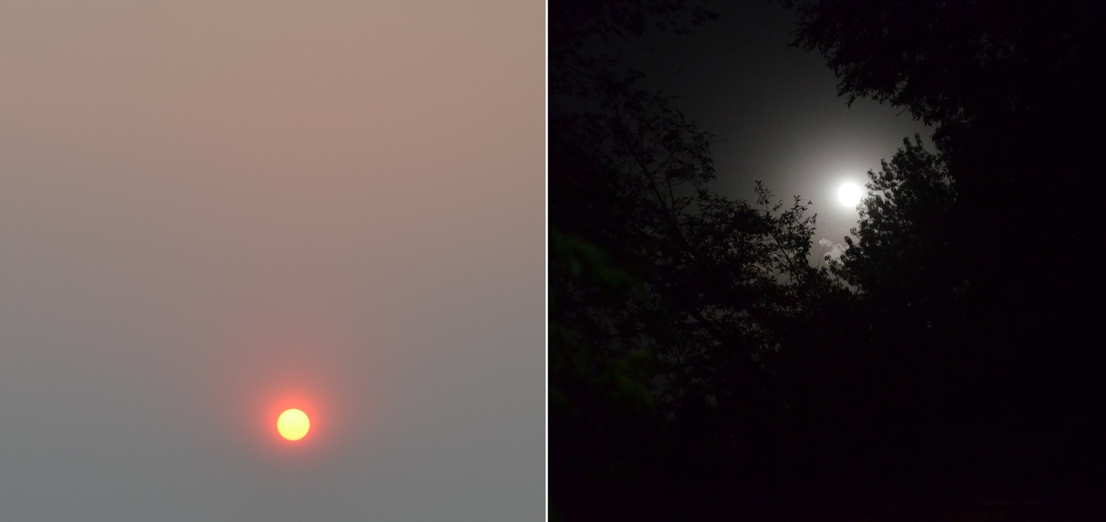 Pure and Peanut Free: Through smoke and haze