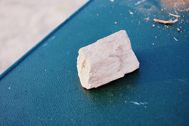 one fat cat fish: Reseda Point