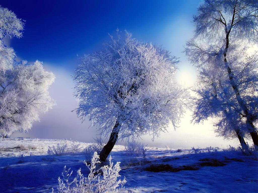 Fun Plannet: wallpaper nature winter