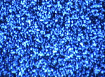 BLCKDGRD: Static Is an Adjective