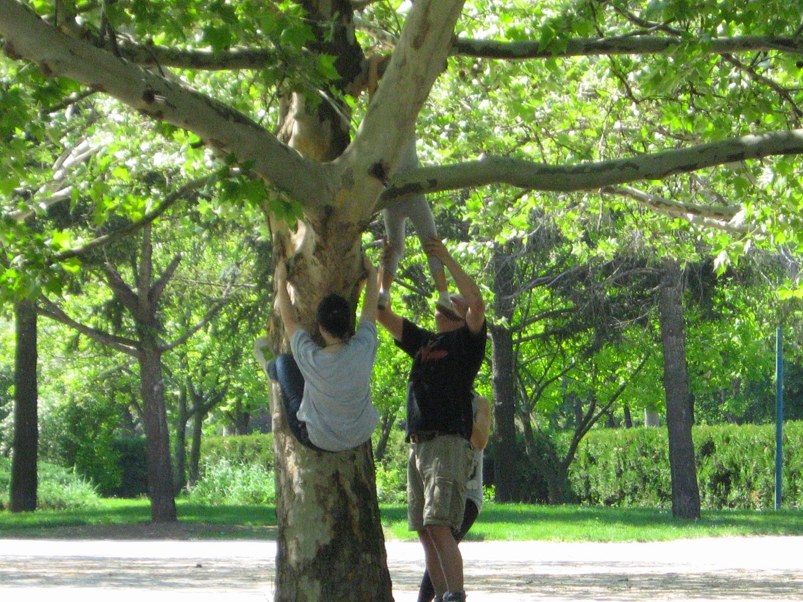 Sfaturi pentru dieta ta si a familiei tale. Fara costuri, fara pierdere ...