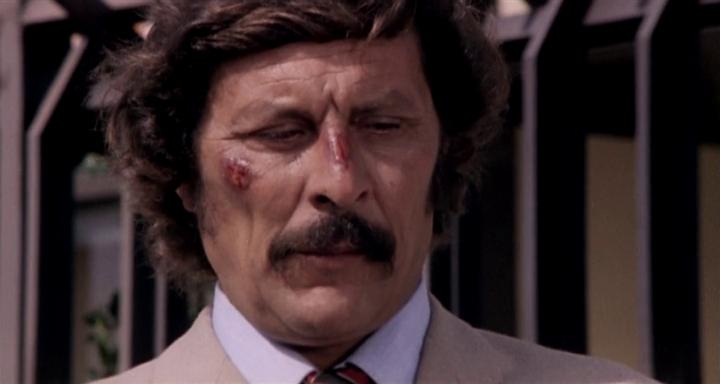 Hatchet Don't Trash: Nello Pazzafini