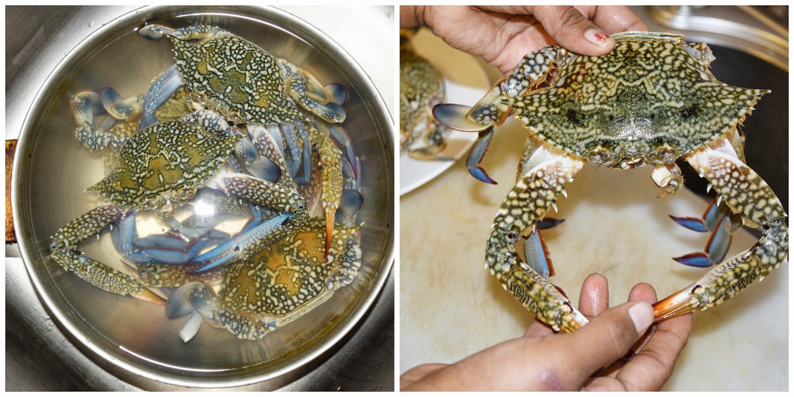 Poornima's Cook Book: How to clean Crabs