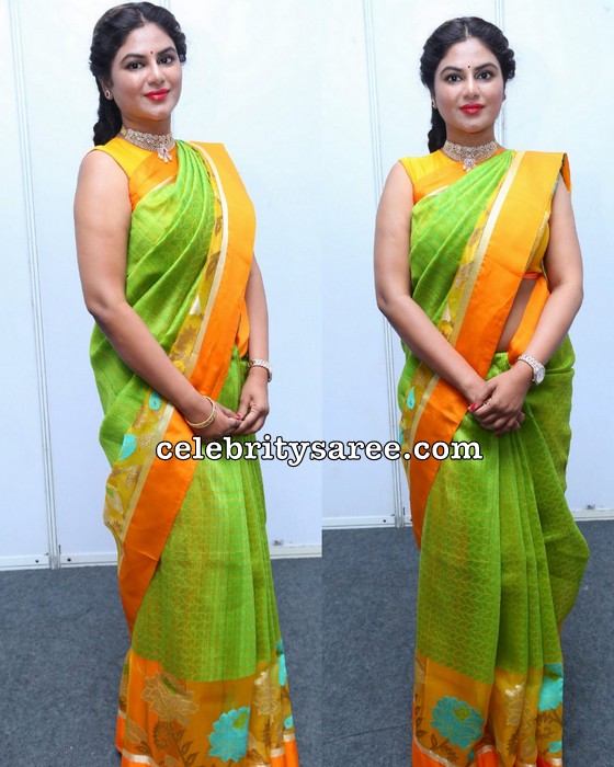 Sailaja Reddy in Light Green Tissue Saree - Saree Blouse Patterns