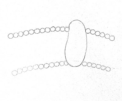 DRAW IT NEAT: How to draw plasma membrane (Cell membrane)