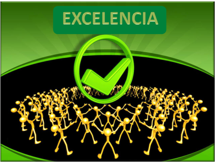 Cajón de sastre: ¿Y eso de la excelencia?