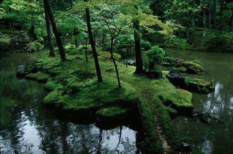 giga world: Garden moss Saiho-ji. Japan