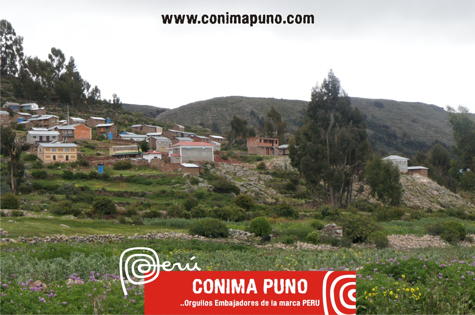 CONIMA PUNO: IMAGENES