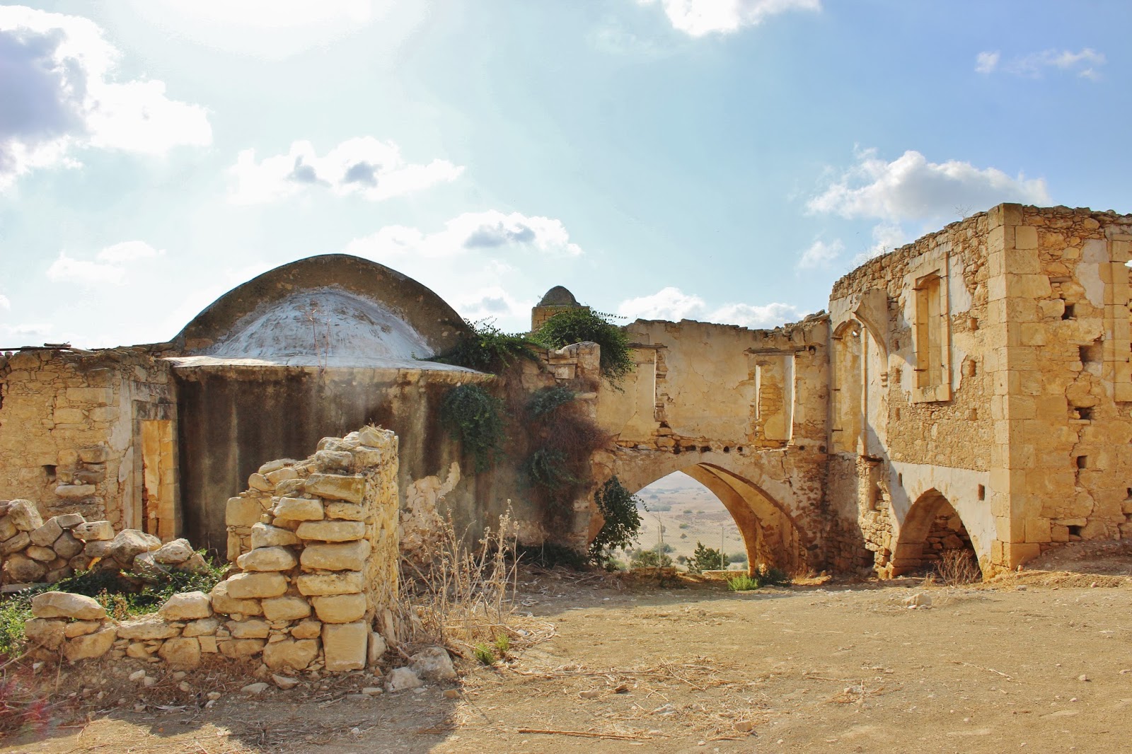 Biodiversity of Cyprus by NGO Protection of the Natural Heritage and ...