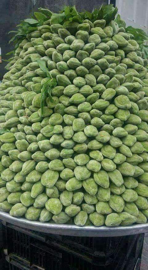 New 2018 Les avantages des amandes vertes sont beaux et incroyables