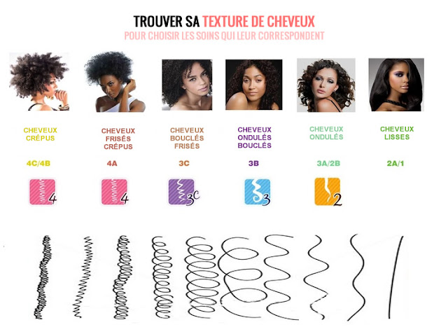 QUEL EST MON TYPE DE CHEVEUX? - LePetitMondeMDF