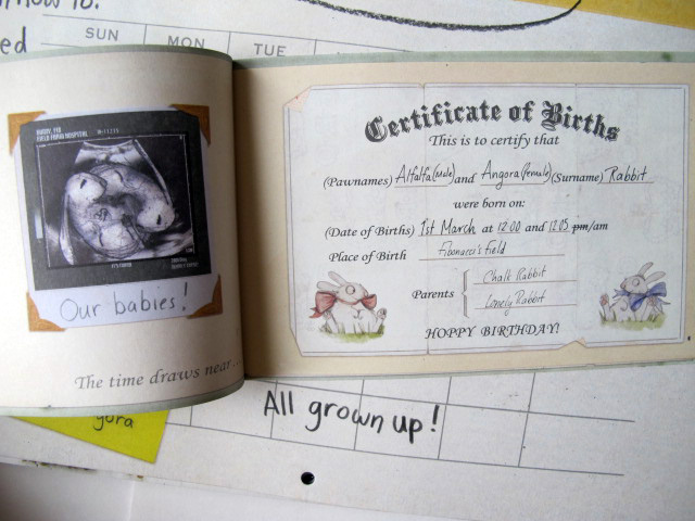 Ilma's illustrations: The Rabbit Problem by Emily Gravett