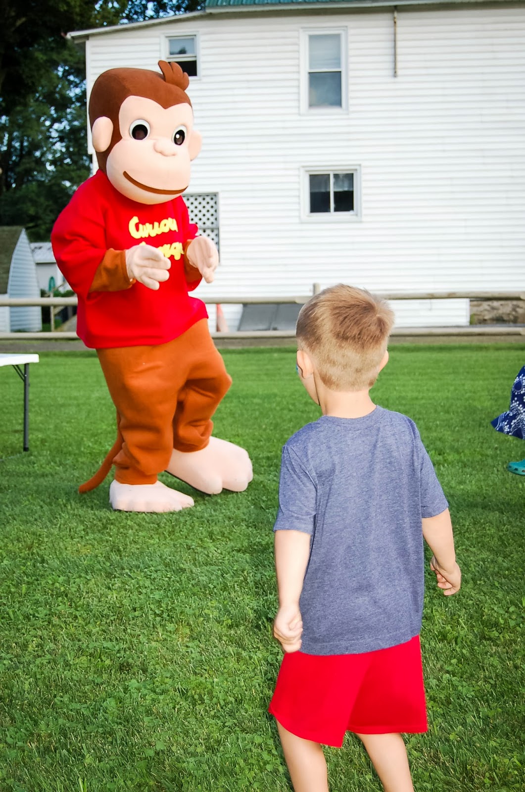 The Buddy Bee Makes Three: Buddy Bee Meets Curious George