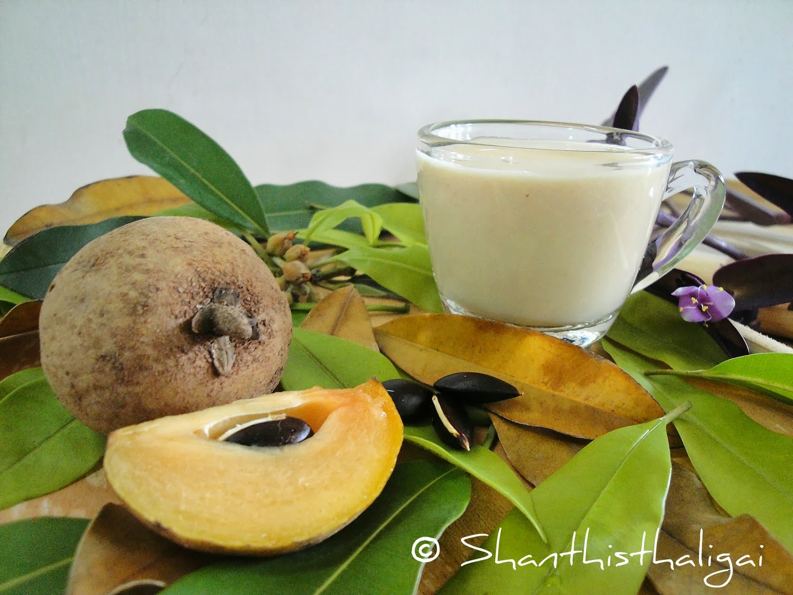 Shanthi Krishnakumar's cook book: CHIKOO MILK SHAKE / SAPOTA MILK SHAKE ...