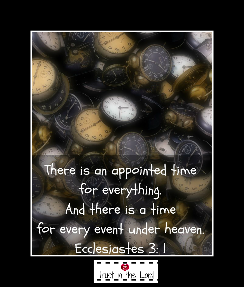 Seeking Jesus: A Time for Everything!