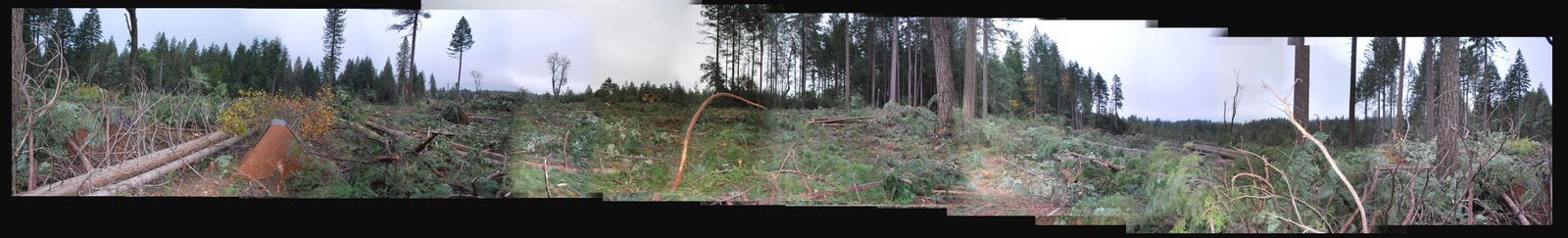 12 Gauge Trails: RIP 12 Gauge