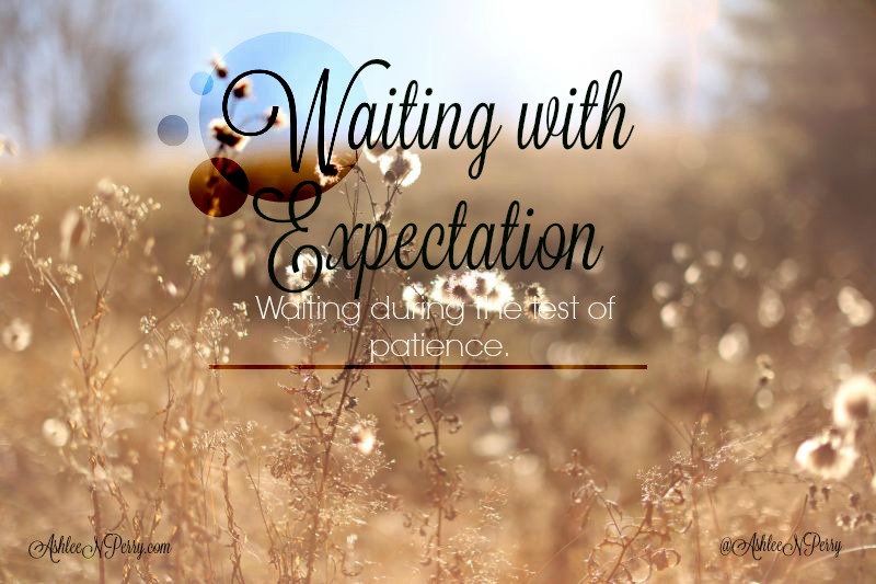 The Maze: Waiting with Expectation