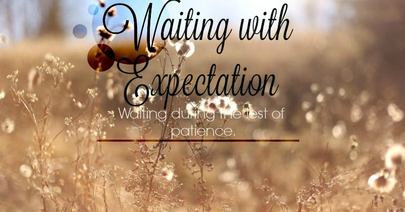 The Maze: Waiting with Expectation