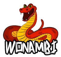 NewsPlusNotes: Massive "Wonambi" Water Slide to Debut at Raging Waves ...