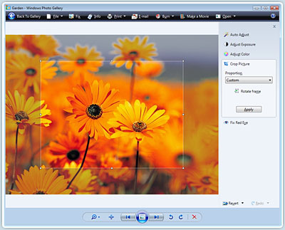 Ideas and Photo Gallery: Windows Photo Gallery