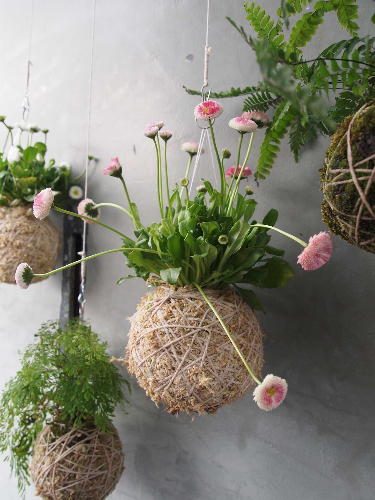 Loop the Loop: New String Gardens - Ready for Spring