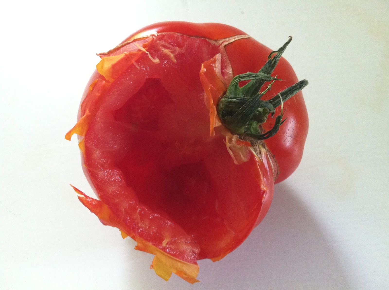 A Couple in the Kitchen: Attack of the Garden Tomatoes (with recipe for ...