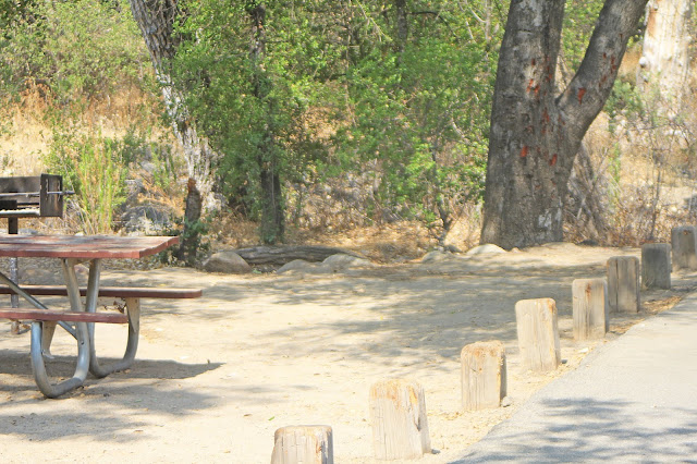 Western Sojourns: Travels with Camissonia: DRIPPING SPRINGS CAMPGROUND ...