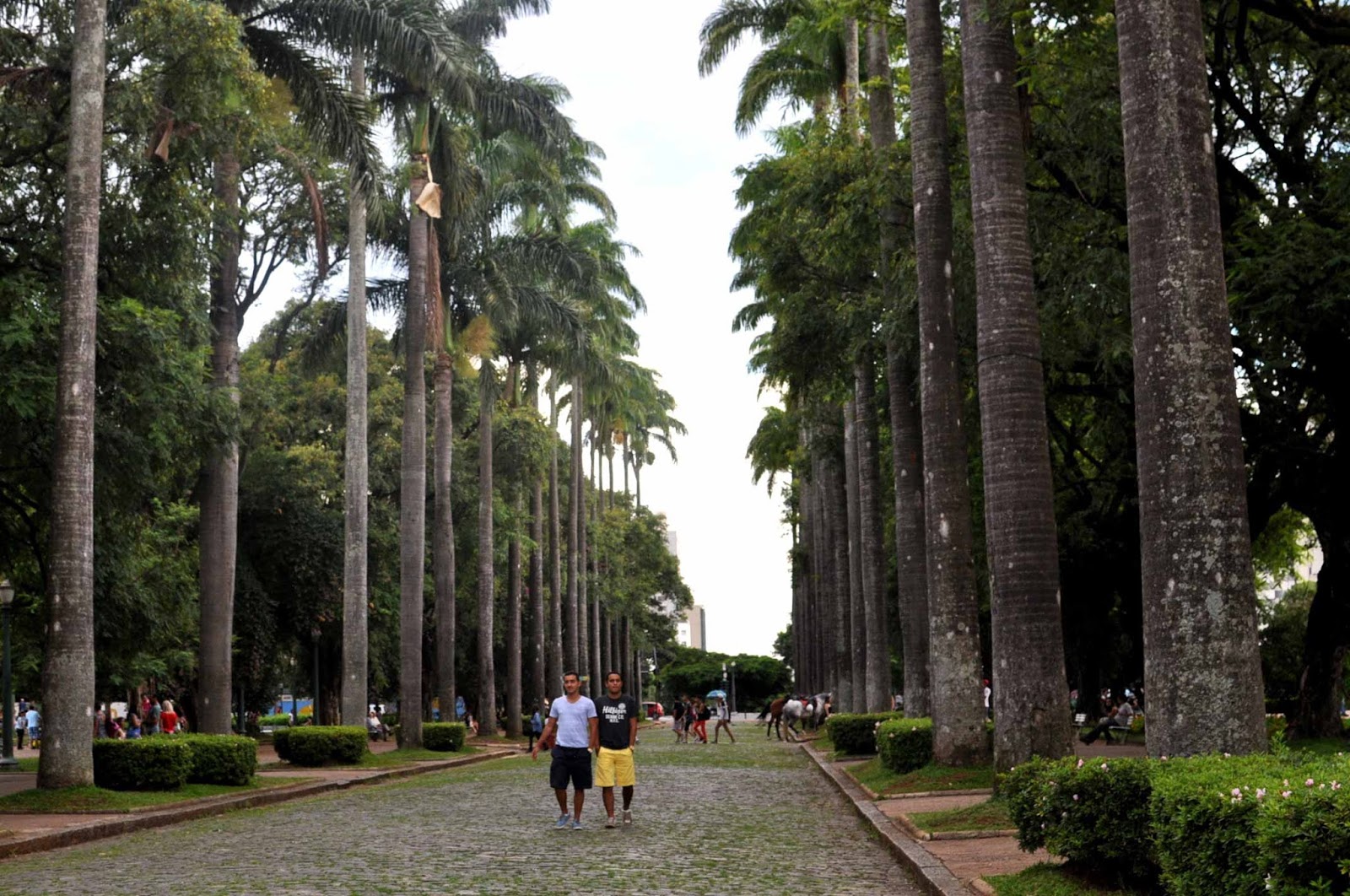 Beagá en unas cuantas horas | Una antología de aventuras