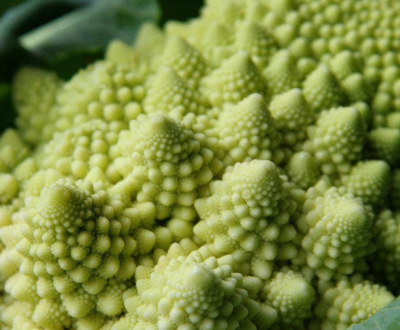 Nessy Designs: Romanesco