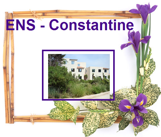 تربية رقمية: ENS - Constantine