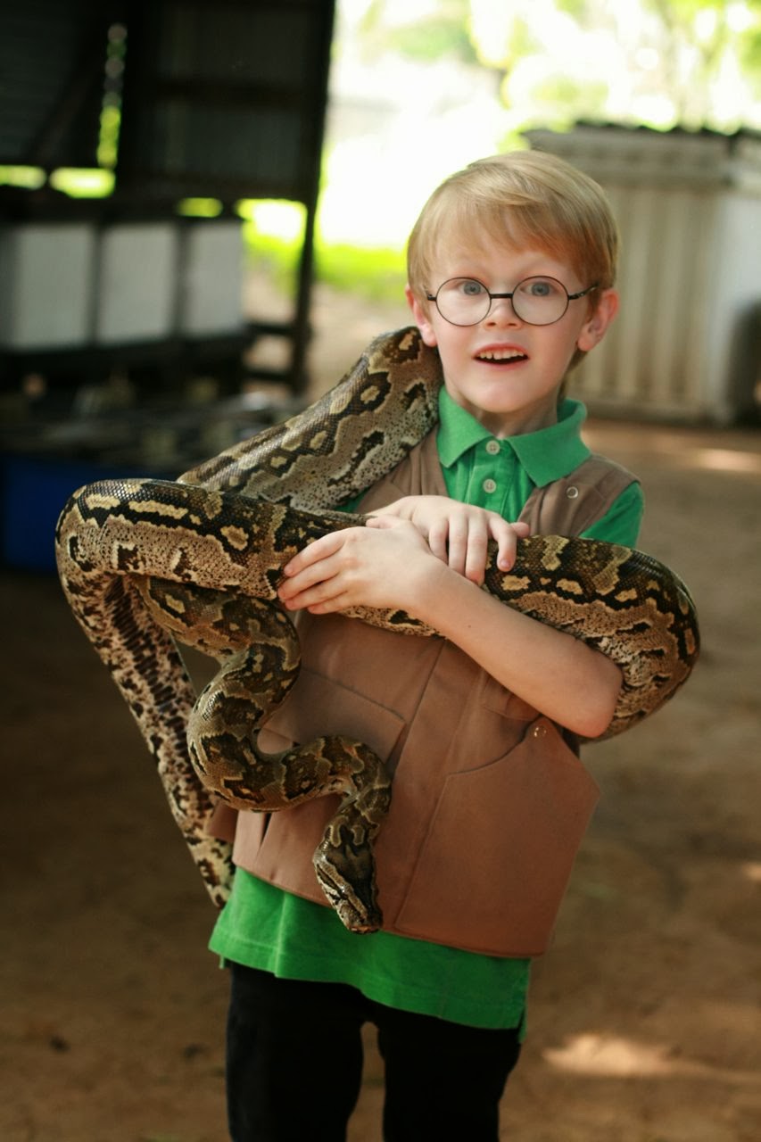 mama congo: Les Serpents du Congo