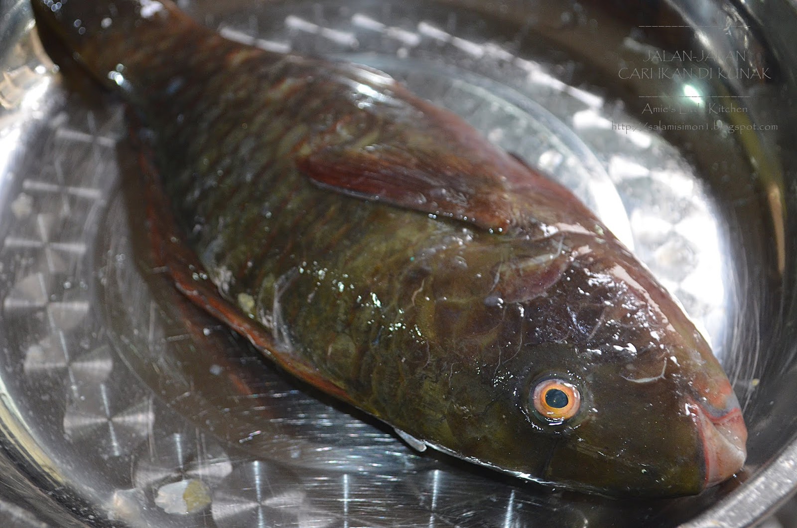 Jalan-Jalan Cari Ikan di Kunak - Amie's Little Kitchen