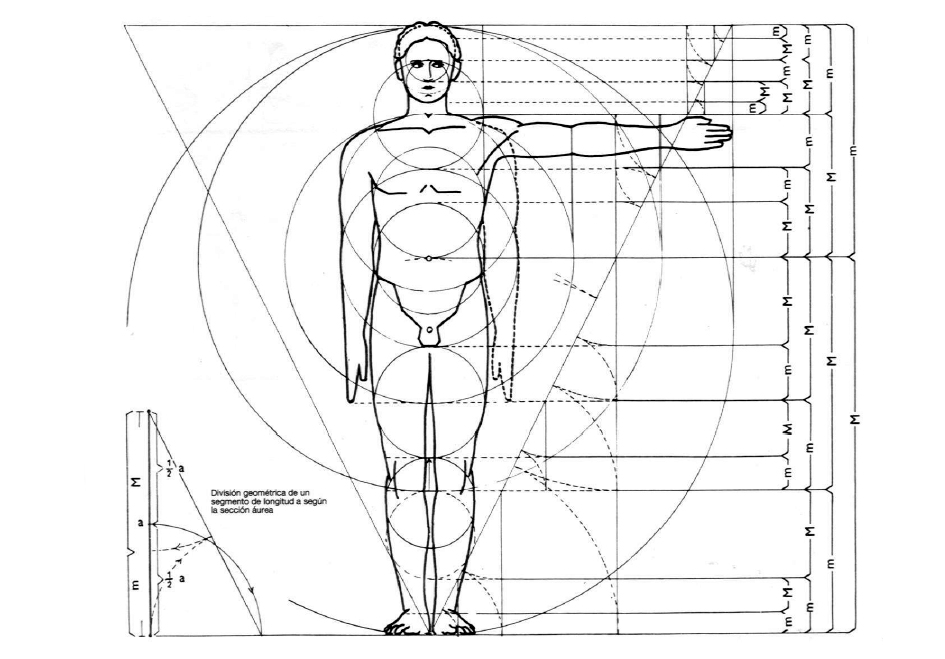 Descargar Neufert El Arte De Proyectar En Arquitectura Pdf Gratis ...