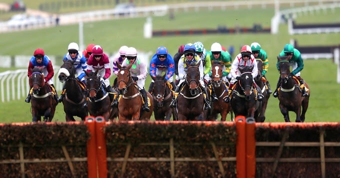 Cheltenham Races: Cheltenham Preview
