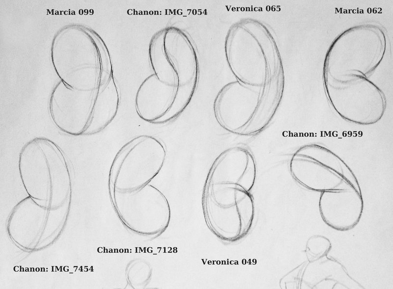 LCAD Portfolio Development