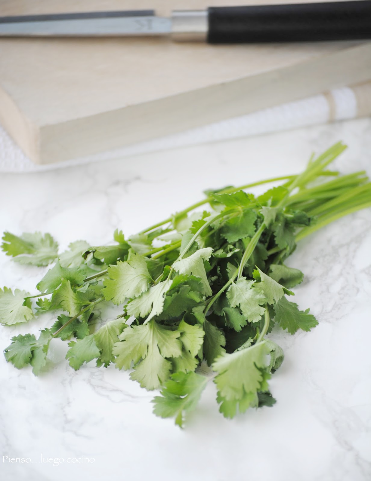 Pienso...luego cocino: Picar cilantro fresco