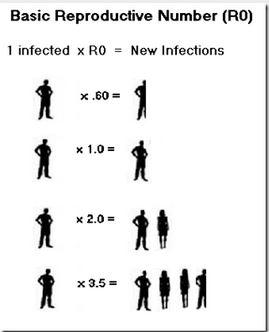 Avian Flu Diary: The Limitations Of Airport Screening For Novel ...