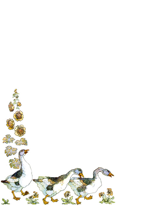 Bordes de animalitos para pagina - Imagui