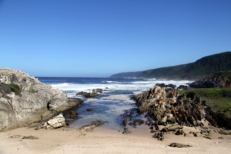 Under our own olive tree: Oubos