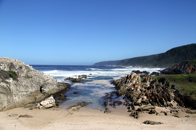 Under our own olive tree: Oubos