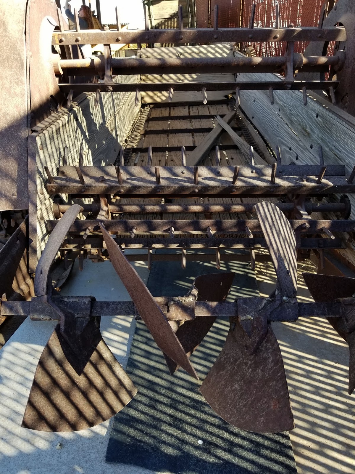 Tumbleweed Park Ranch