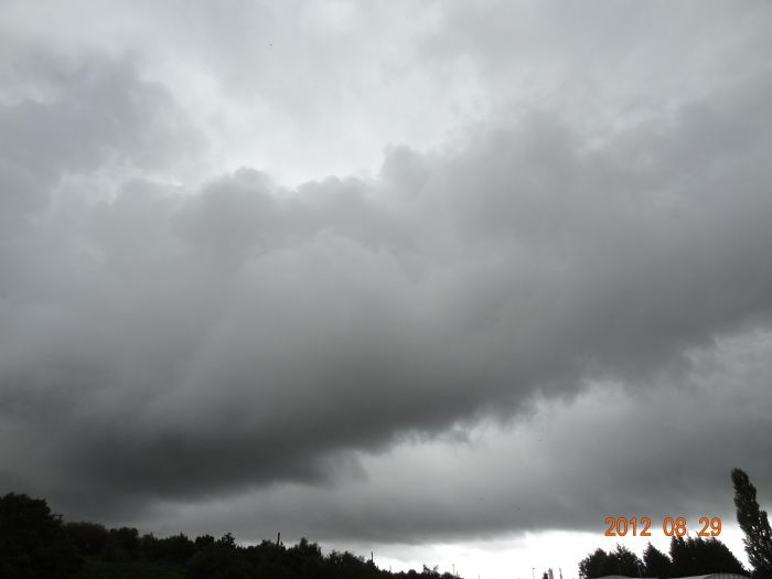 The Plague by Albert Camus: Adaptation-Level Phenomenon