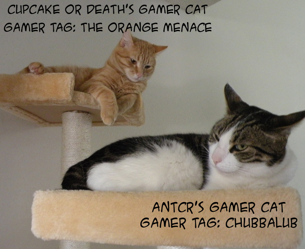 TROA Gaming: Gamer Cat